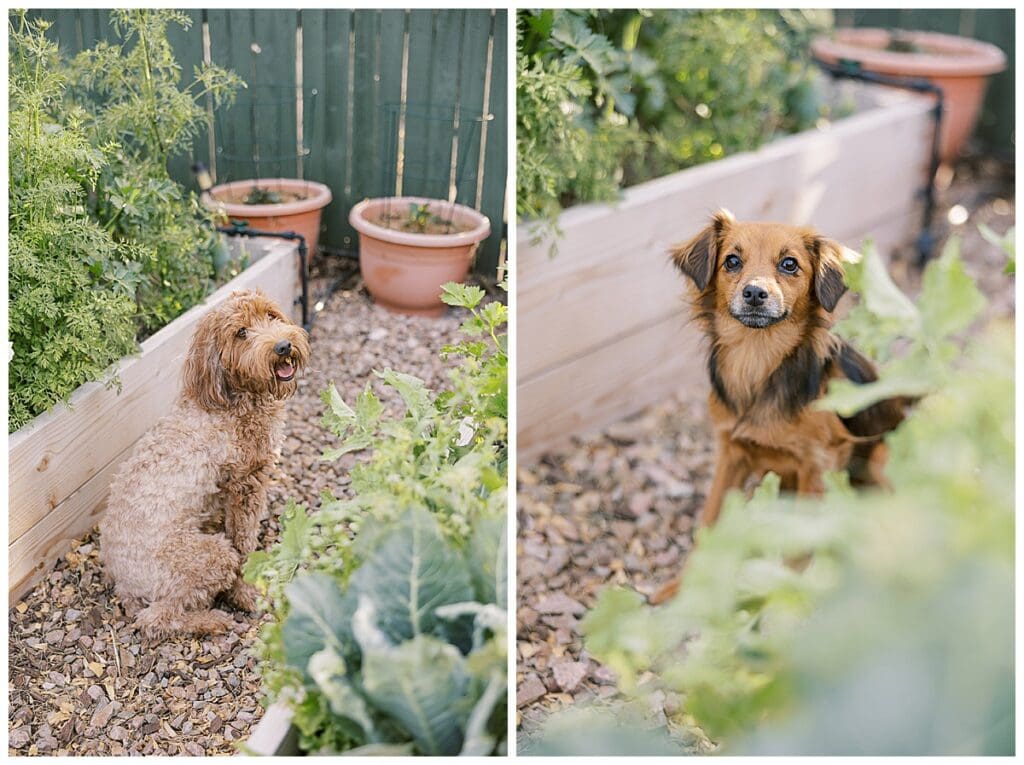 How to figure out "who am I now?" - samlynnbrooks.com